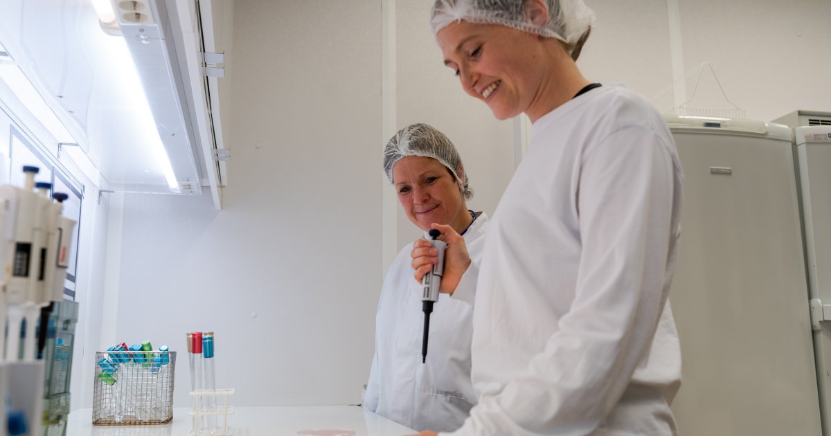 Muligheter i Diplom-Is - Diplom-is